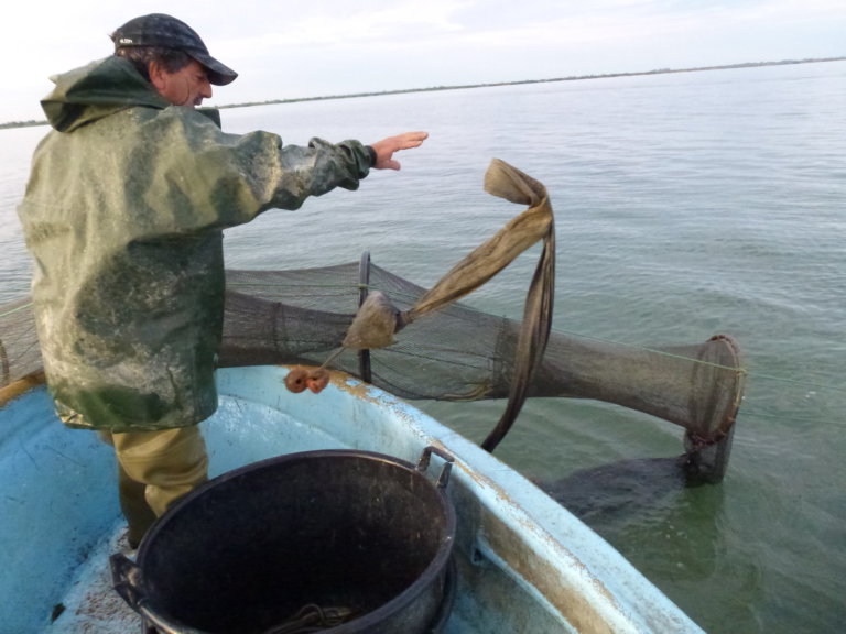 L’anguille – Le Pêcheur Professionnel